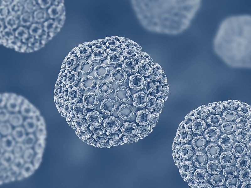 Yellow Fever Virus 3d Model Discovery Of A