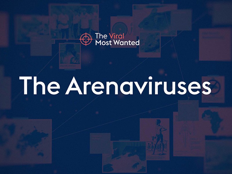 The Viral Most Wanted: The Arenavirus Family | CEPI