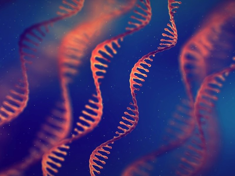 CEPI to support development of self-amplifying mRNA vaccine technology for use against Disease X ...