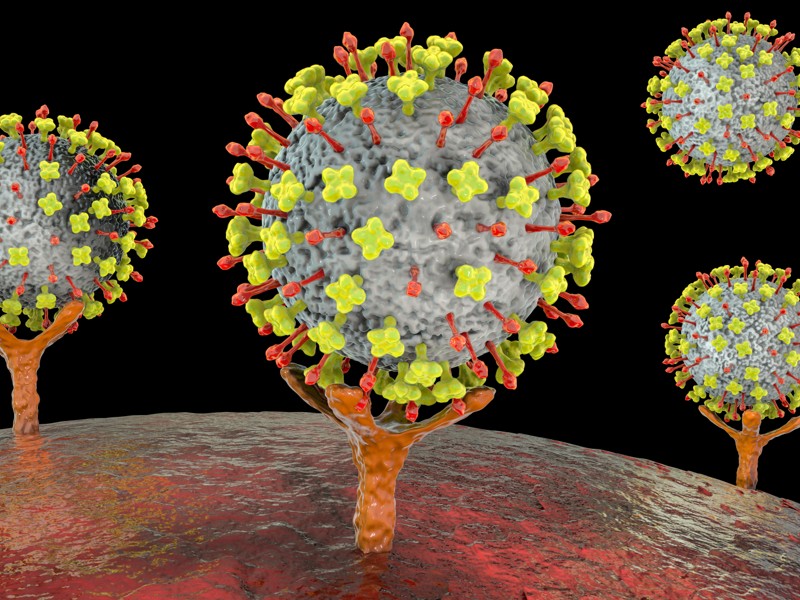 New human trials for novel antibody offer hope for immediate protection ...